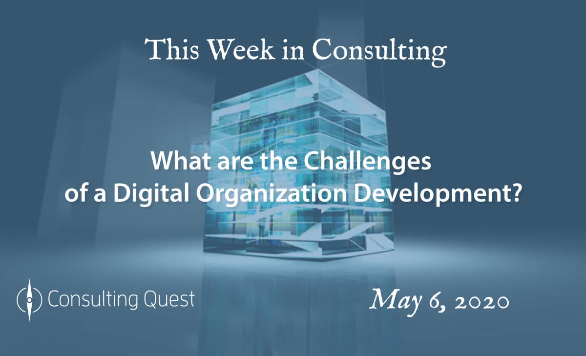 What are the challenges of digital organization development?